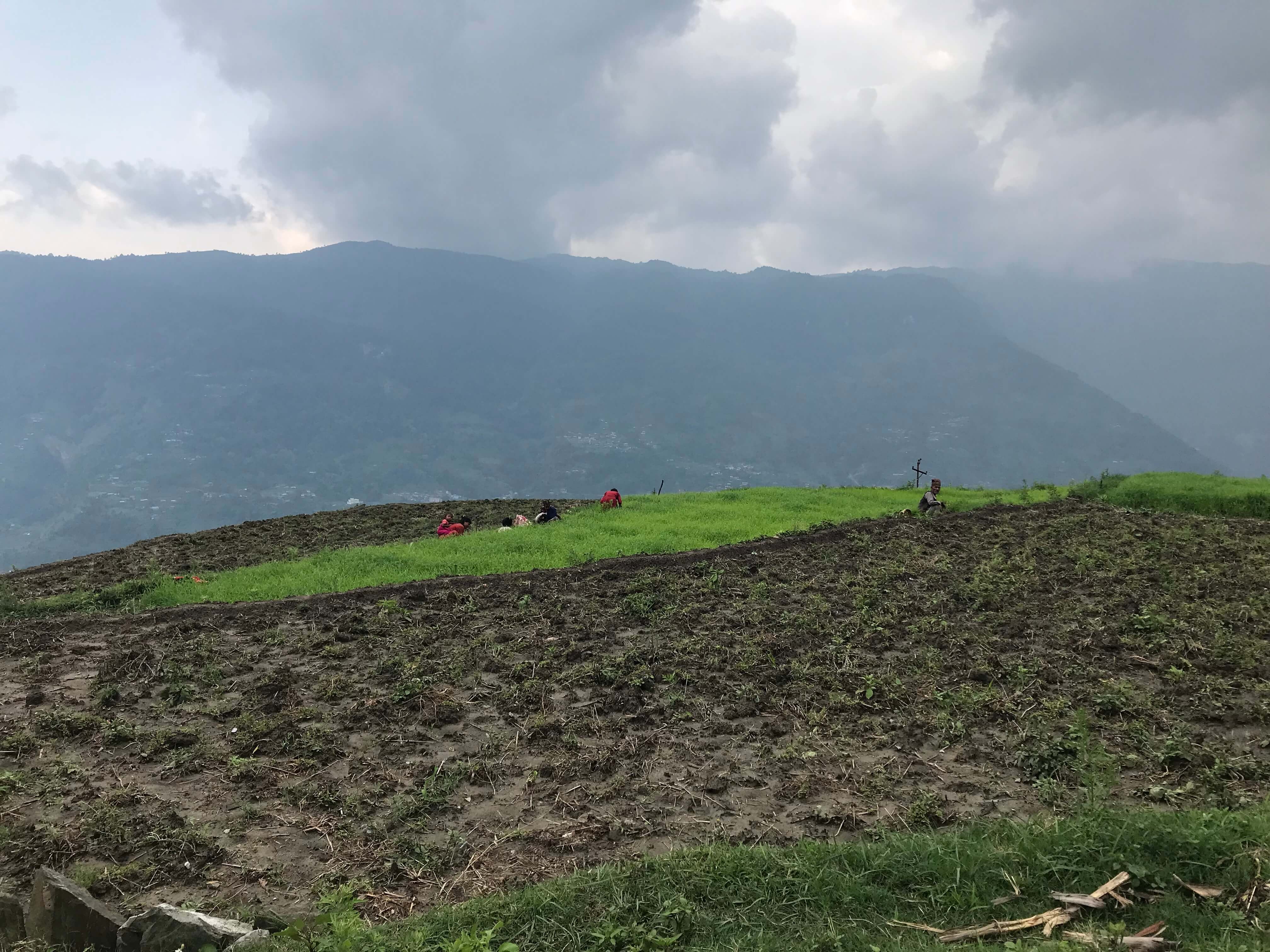 Center for Tamang Studies